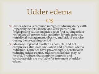 Diseases of Mammry gland/udder. | PPTX