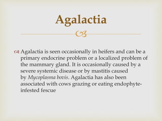Diseases of Mammry gland/udder. | PPTX