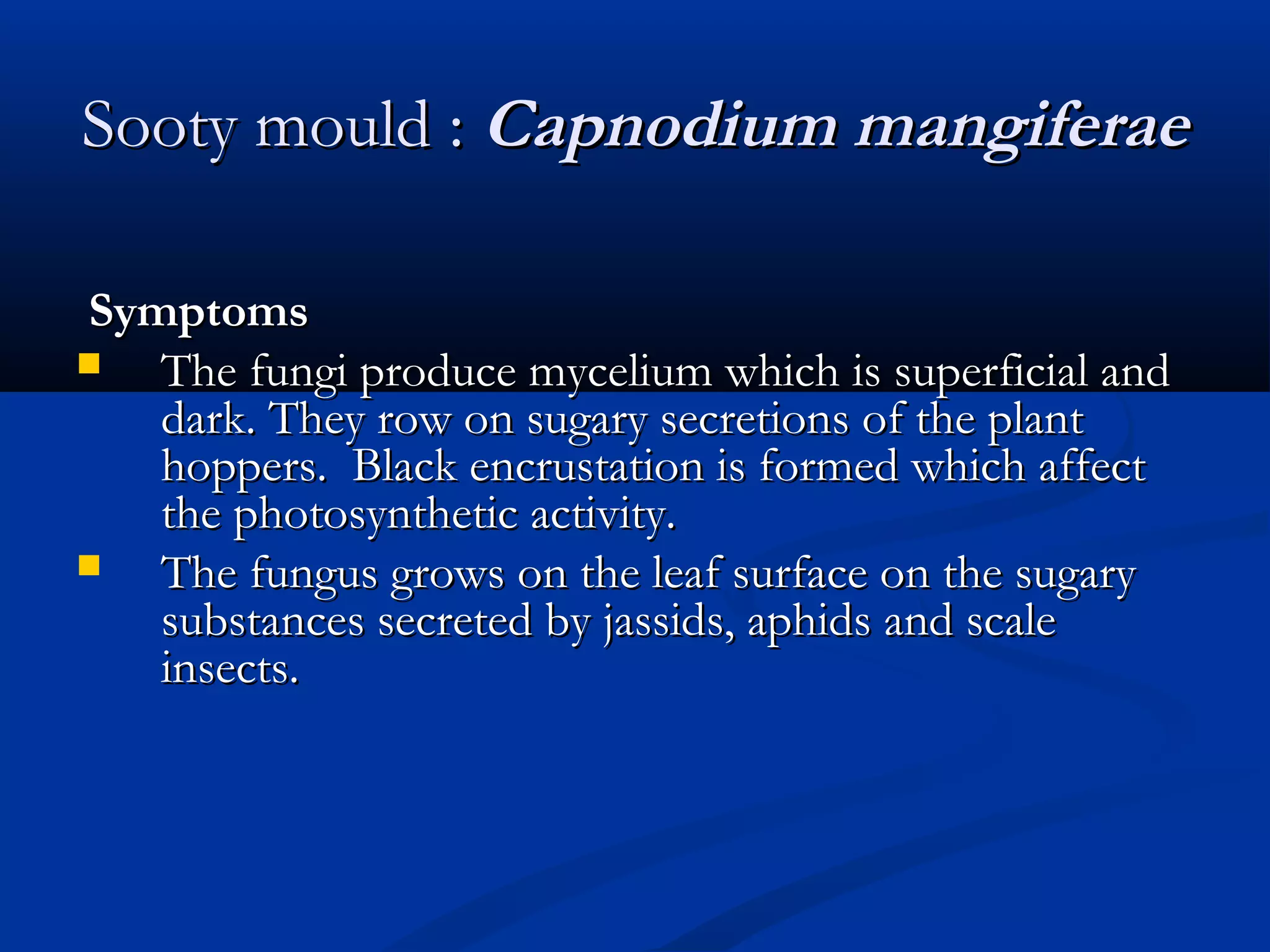 Diseases of mango | PPT