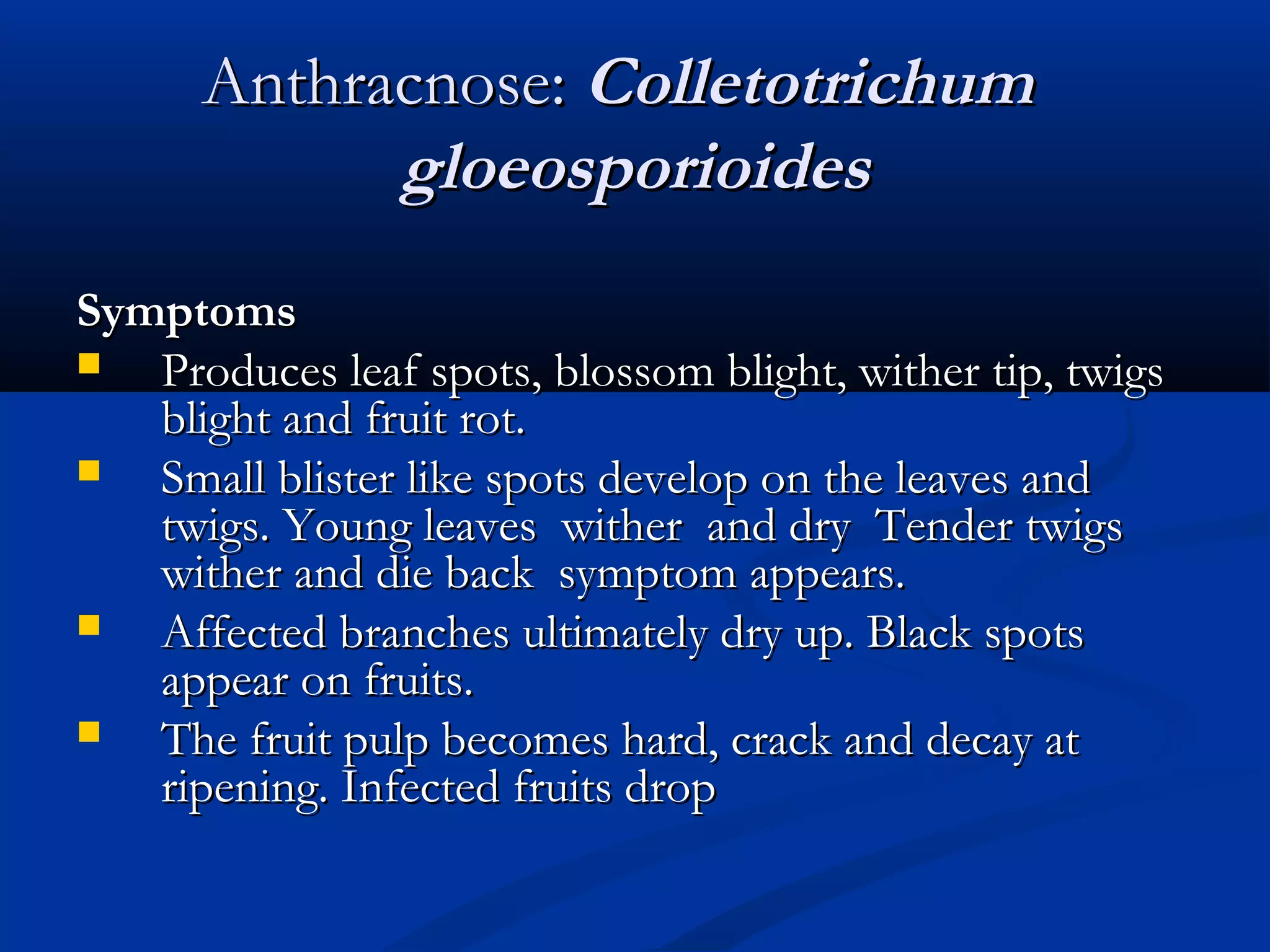 Diseases of mango | PPT