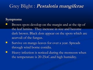 Diseases of mango | PPT