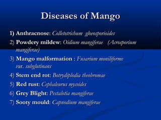 Diseases of mango | PPT