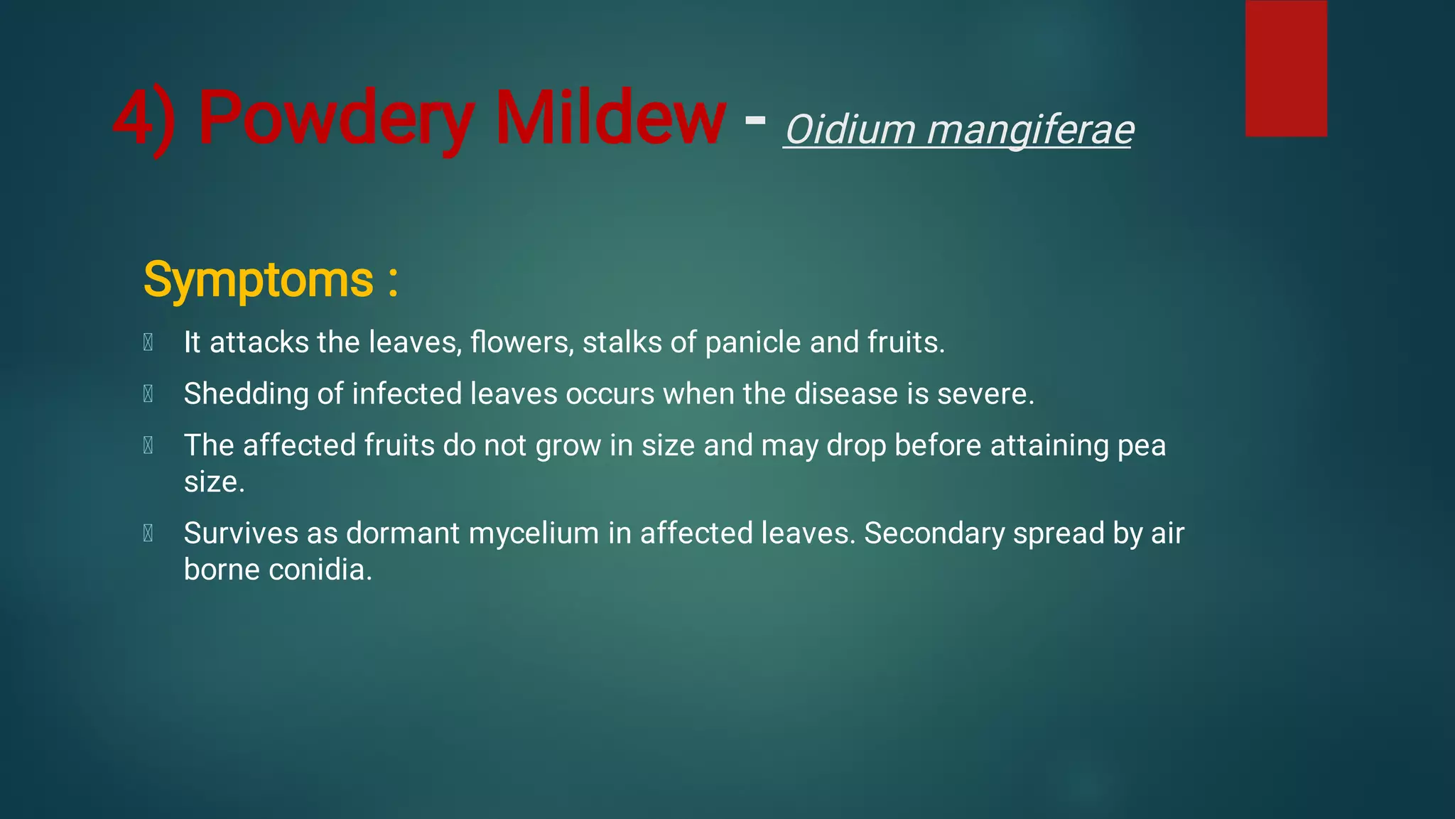 Diseases of Mango | PDF