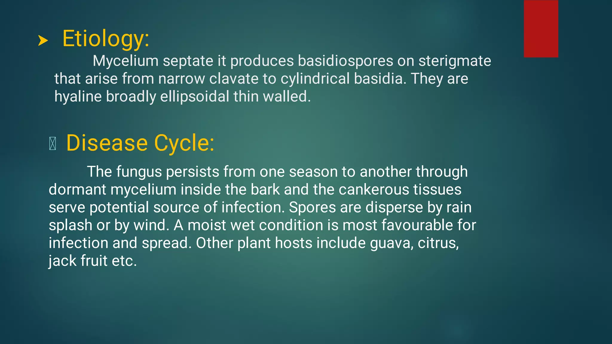 Diseases of Mango | PDF