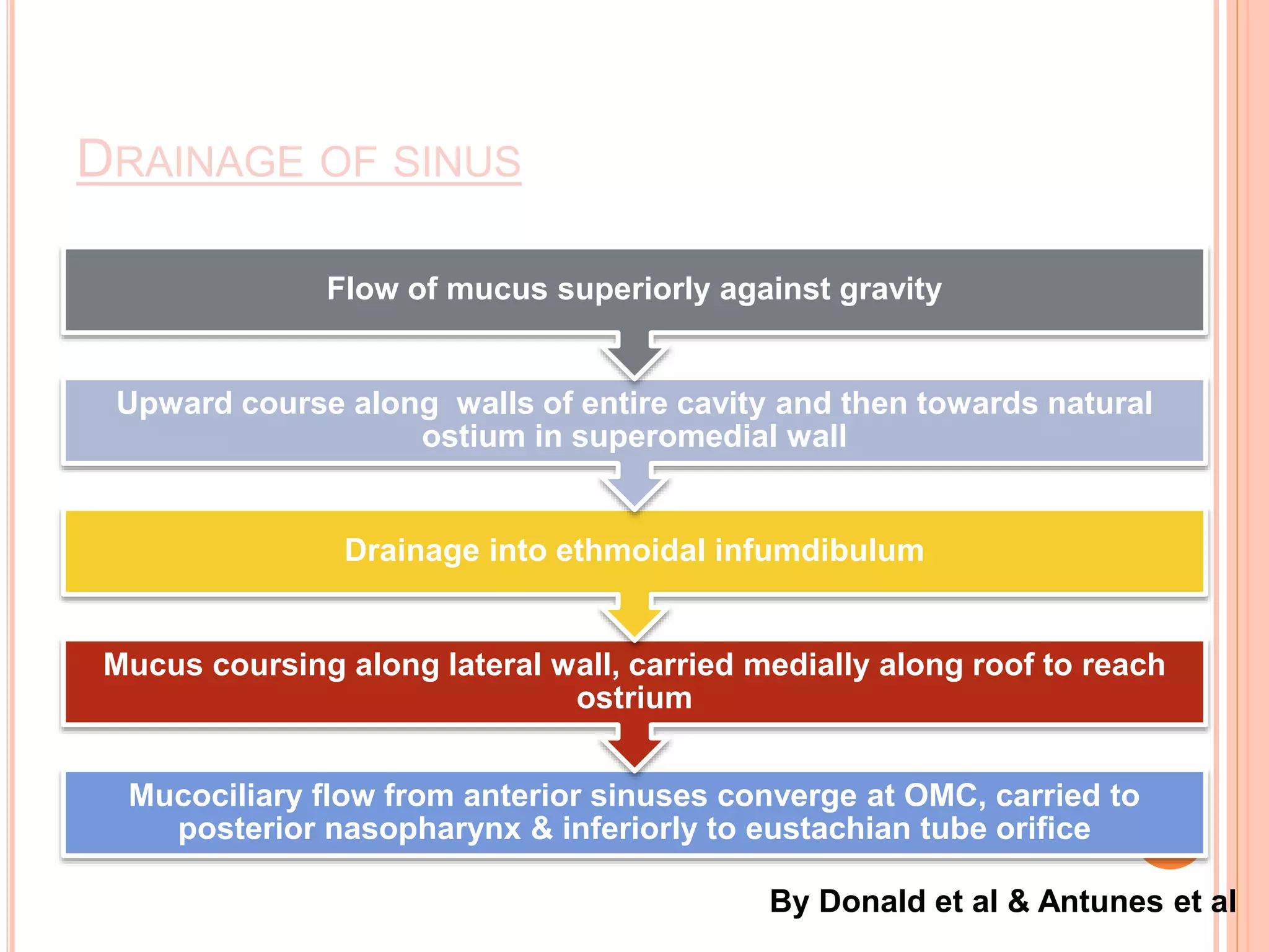 Diseases of maxillary sinus | PPTX