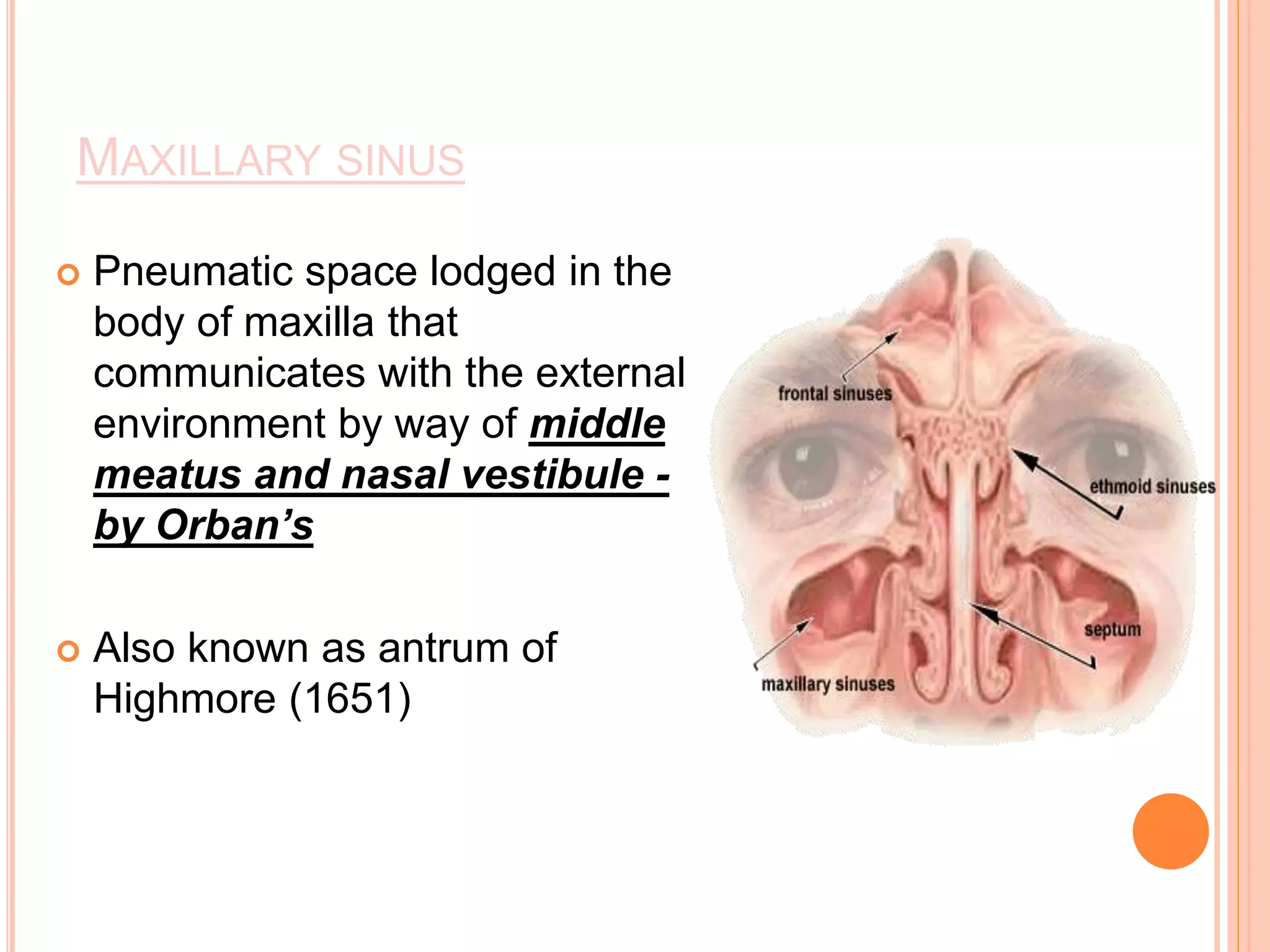 Diseases of maxillary sinus | PPTX