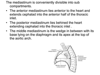 Surgery 5th year, 6th lecture (Dr. Ahmed Al-Azzawi) | PPT | Lung and ...