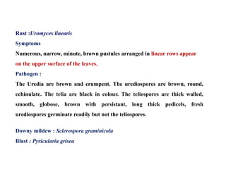 Diseases of Miinor Millets.pptx . | PPTX