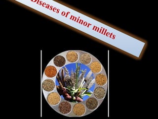 Diseases of minor millets.pptx plant pathology | PPTX