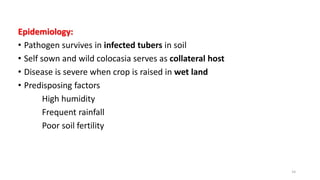diseases of minor tubers plant pathology | PDF