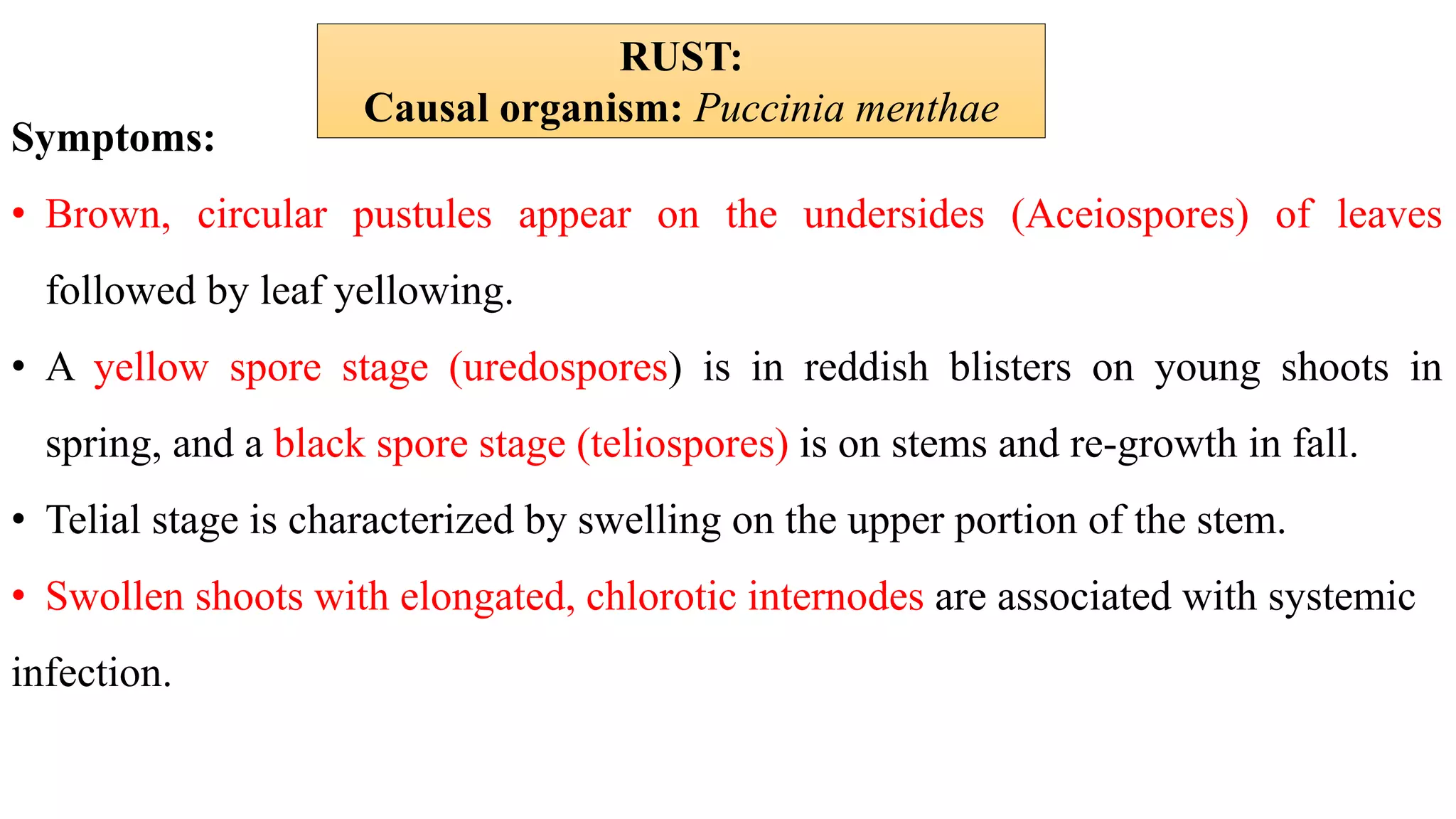 Diseases of mint.pdf