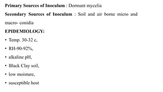 Diseases of mint.pdf