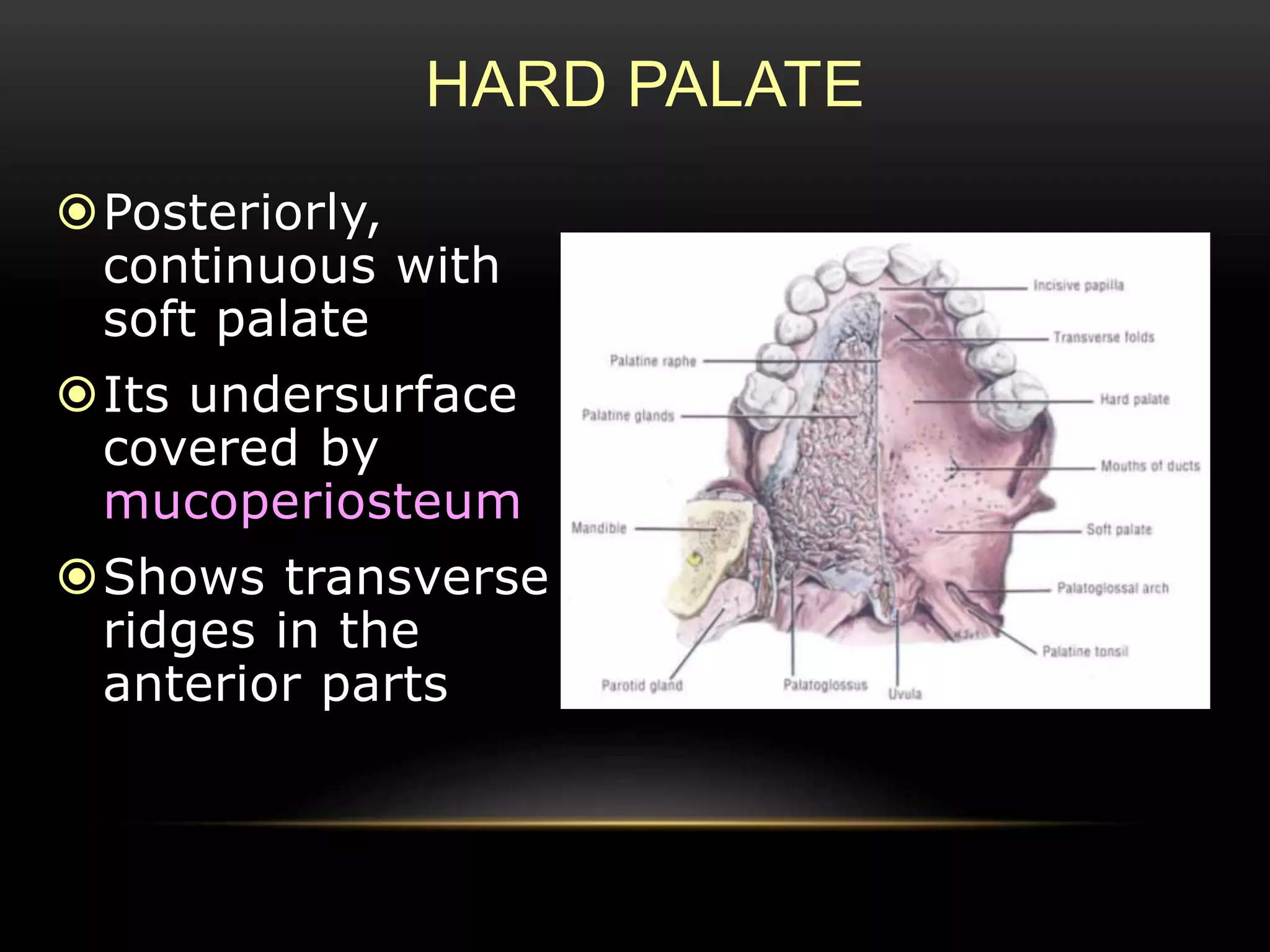 Diseases of mouth, palate, lips & cheek | PPTX | Dental Health ...