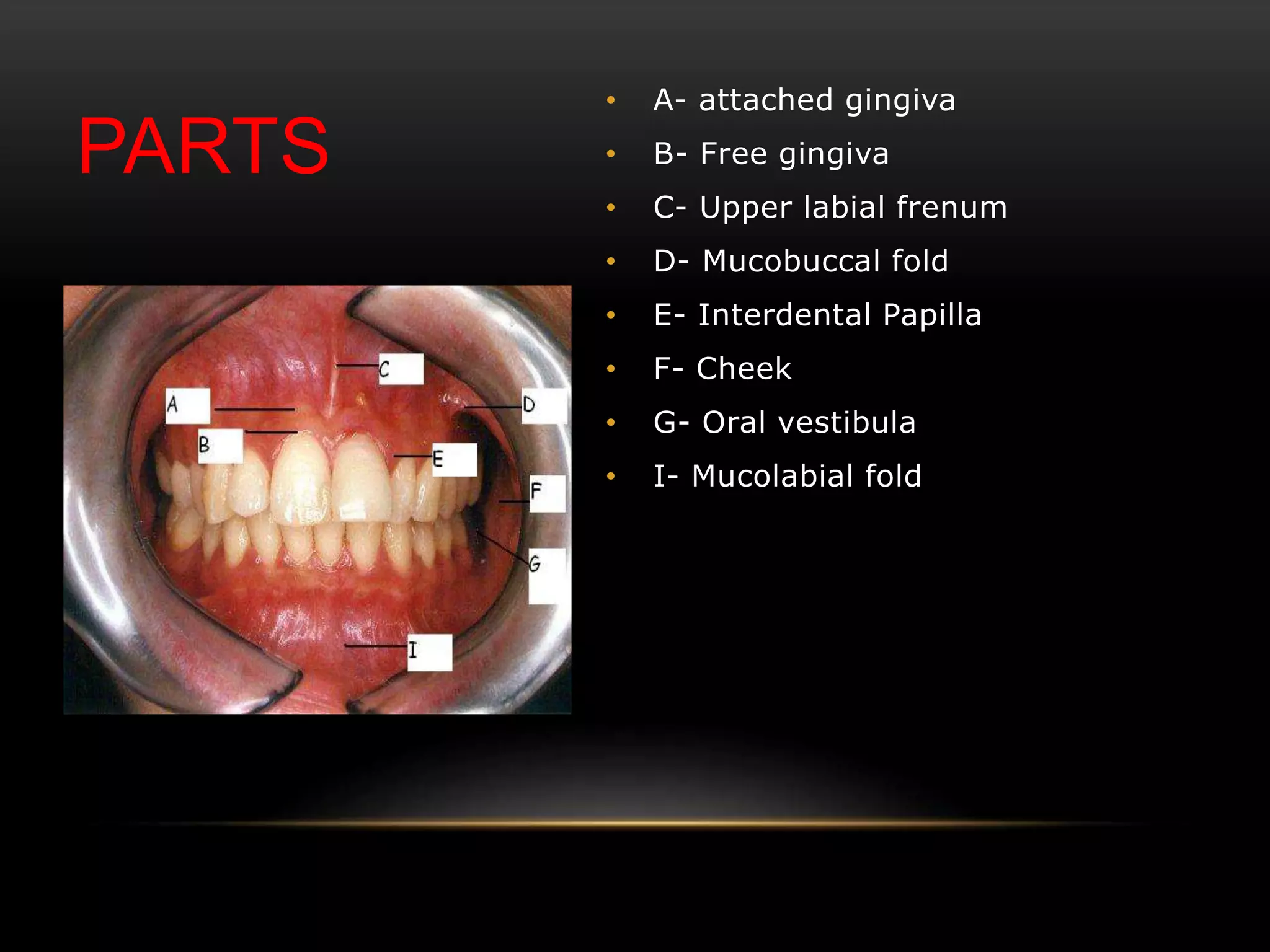 Diseases of mouth, palate, lips & cheek | PPT