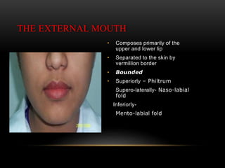 Diseases of mouth, palate, lips & cheek | PPTX