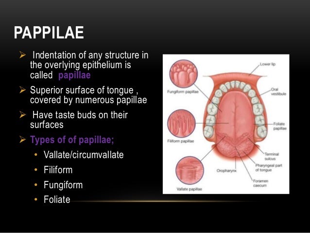 Diseases of mouth, palate, lips & cheek