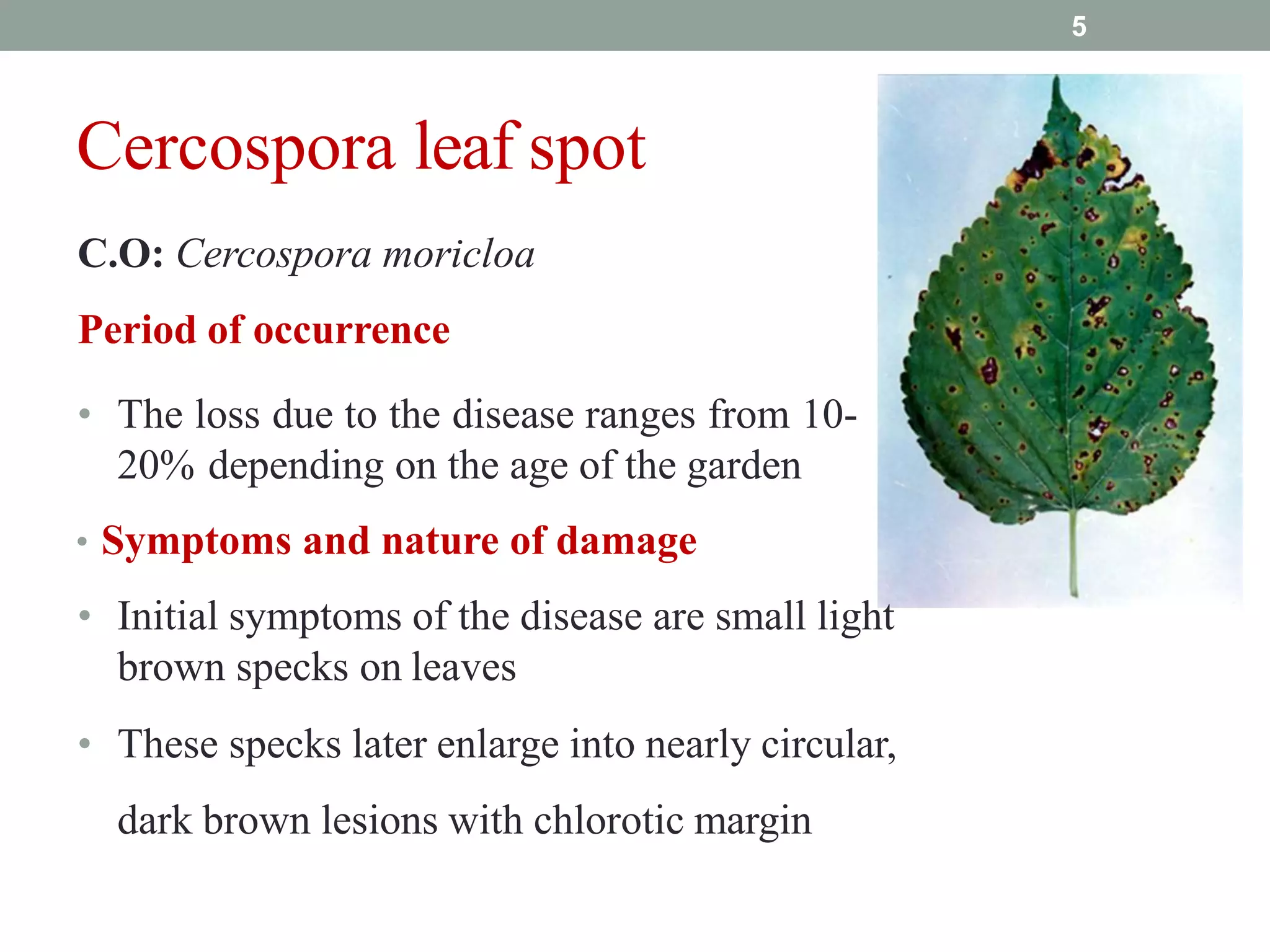 Diseases of Mulberry in Pakistan | PPTX