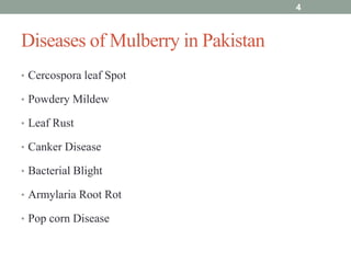Diseases of Mulberry in Pakistan | PPTX