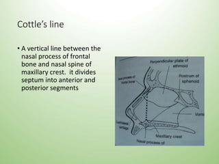 diseases of nasal septum................... | PPT