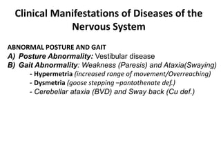 Diseases of nervous system Veterinary Neurology | PPTX
