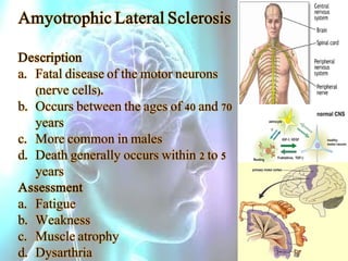 Diseases of nervous system report | PPT