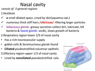 Diseases of Nose & PNS.pptx