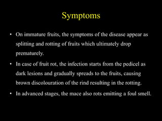 Diseases of nutmeg | PPTX