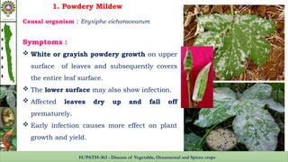 Diseases of okra, cause, etiology, management | PPTX