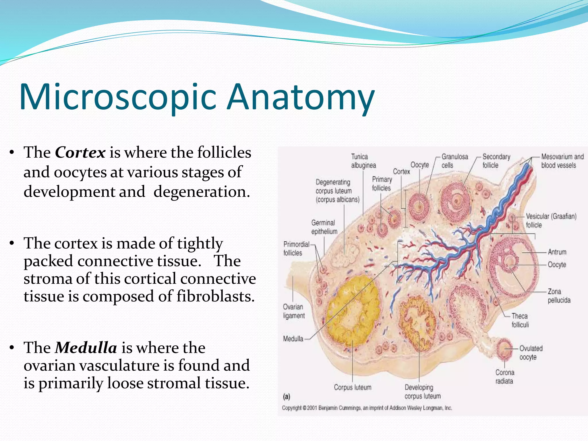 Diseases of ovary / OBS and GYN | PPTX
