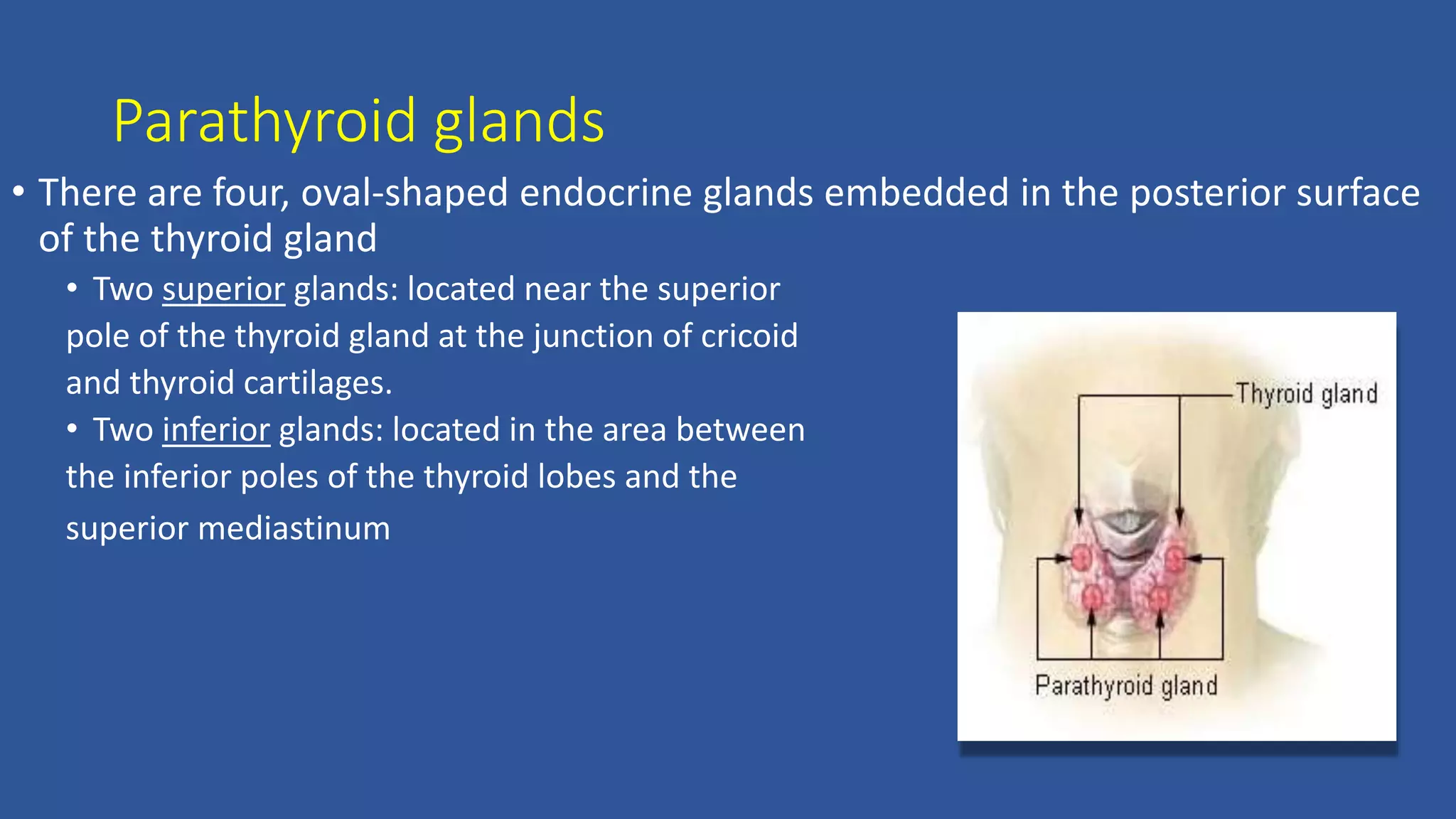 Diseases of parathyroid & adrenal glands | PPT