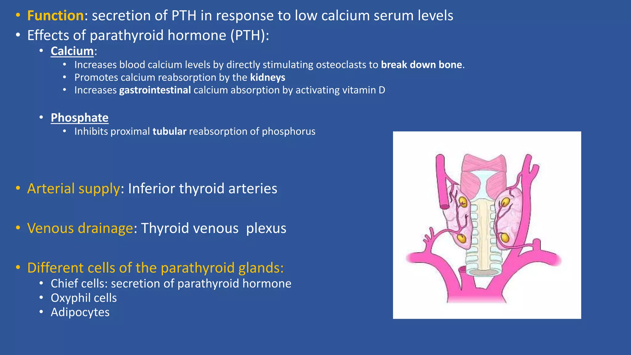 Diseases of parathyroid & adrenal glands | PPTX