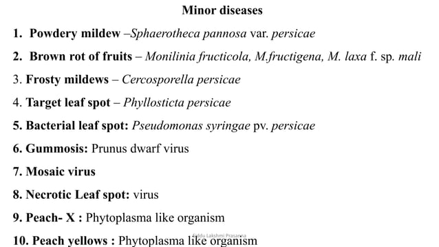Diseases of Peach.pdf | Gardening | Home & Garden