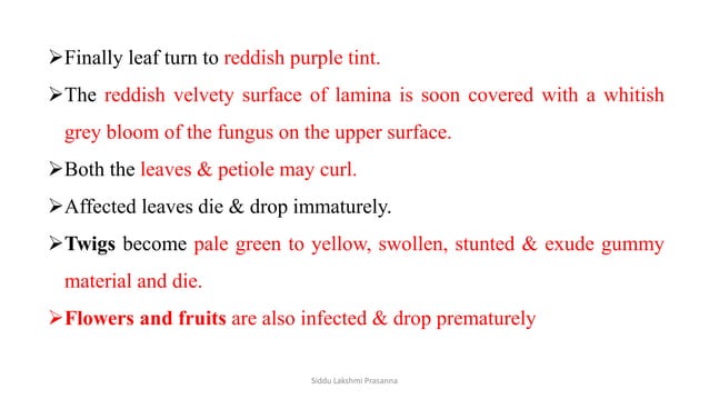 Diseases of Peach.pdf