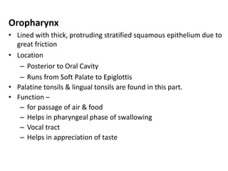 Diseases of Pharynx.pptx
