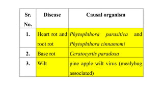Diseases of pineapple.pdf