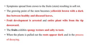 Diseases of pineapple.pdf
