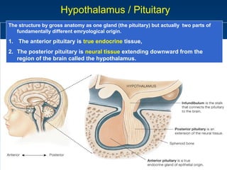 Diseases of pituitary gland | PPT