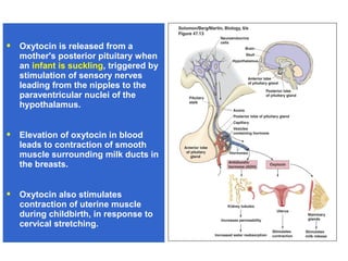 Diseases of pituitary gland | PPT