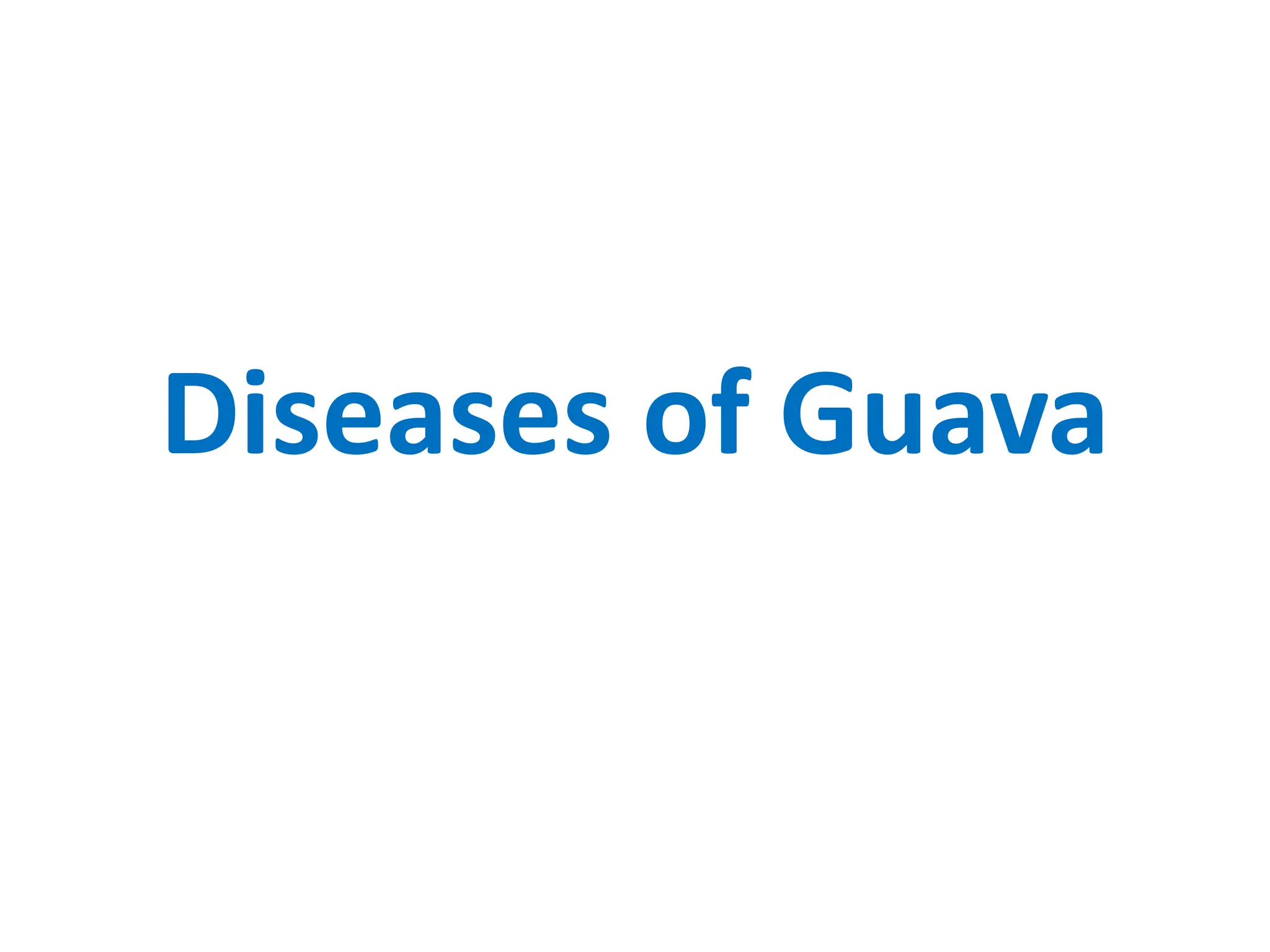 Diseases of pomegranate & guava IMPORATANCE | PPTX