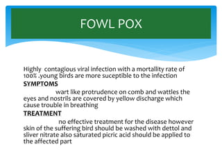 Diseases of Poultry | PPTX