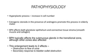 DISEASES OF PROSTATE.pptx