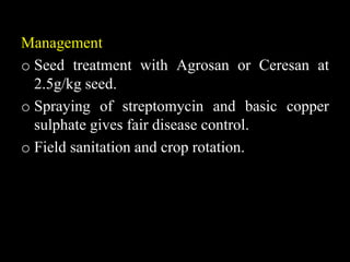 Diseases of red pepper | PPTX