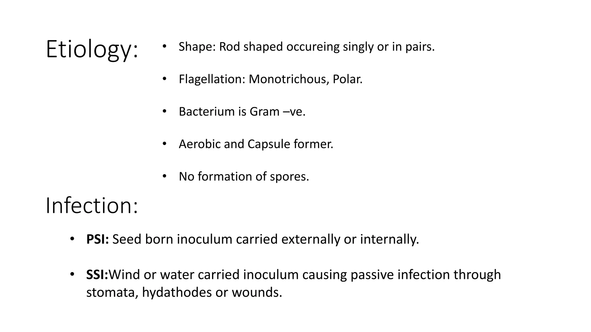 Diseases of rice | PPTX