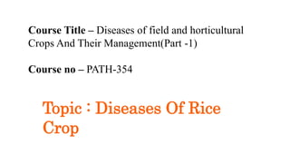 Diseases of rice | PPTX