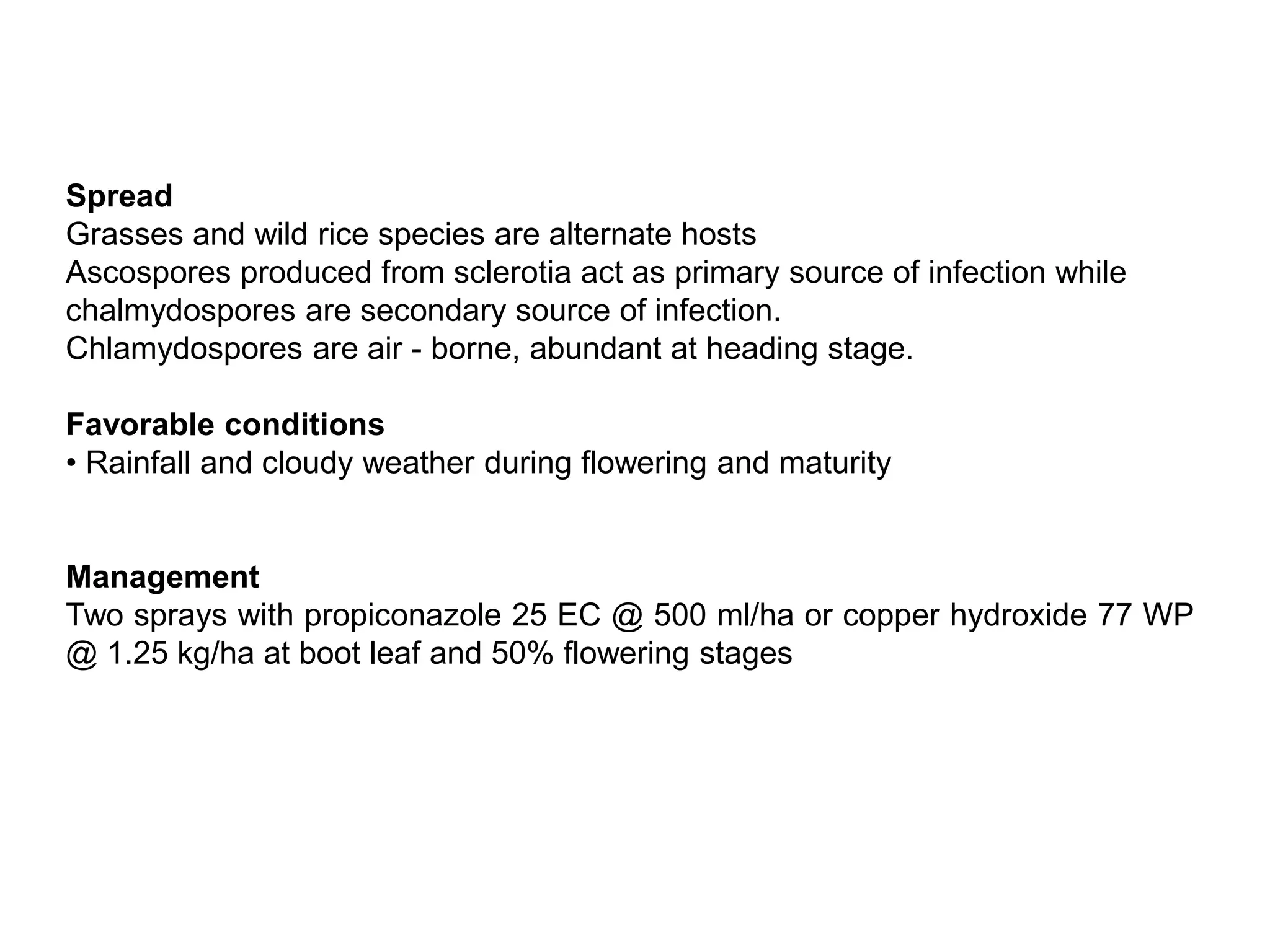 Diseases of rice.ppt kkkkkkjjjjkjjjjjjjjj | PPT
