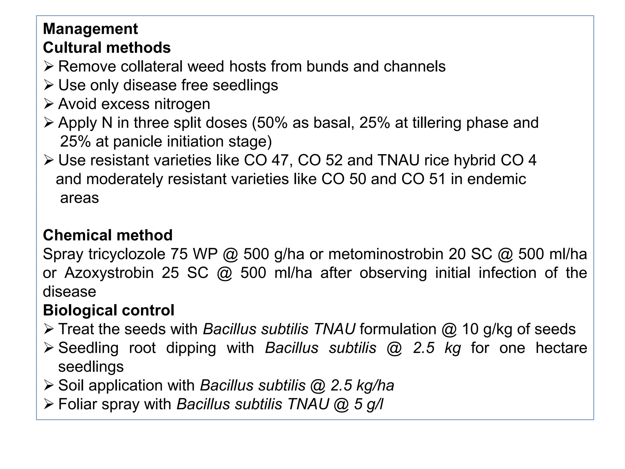 Diseases of rice.ppt kill bill ingionggffdd | PPT