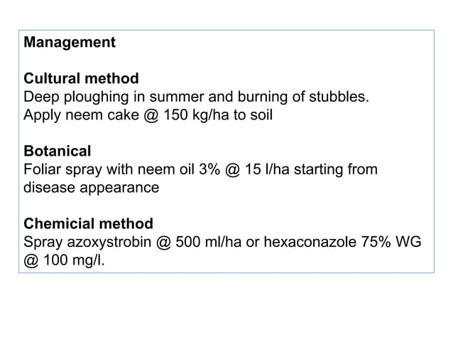 Diseases of rice.ppt kill bill ingionggffdd | PPT