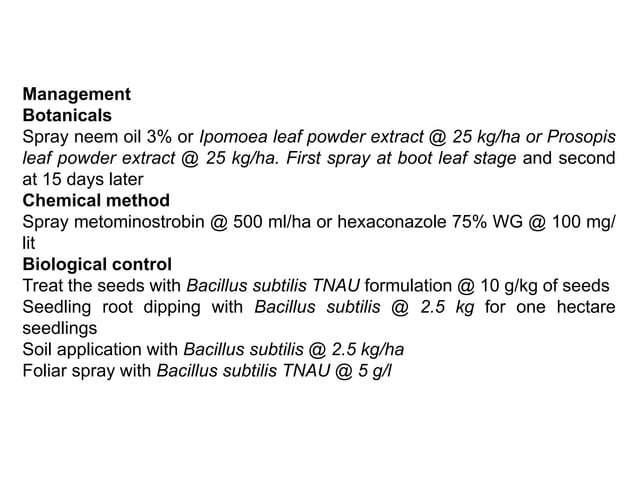 Diseases of rice.ppt kill bill ingionggffdd | PPT