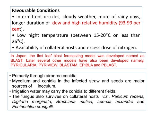 Diseases of rice.ppt kill bill ingionggffdd | PPT