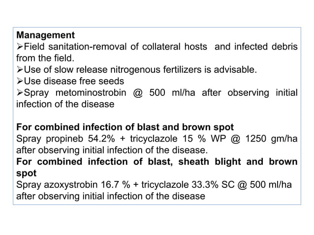Diseases of rice.ppt kill bill ingionggffdd | PPT